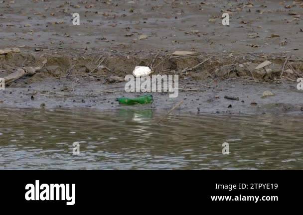 Plastic waste in river Stock Videos & Footage - HD and 4K Video Clips ...
