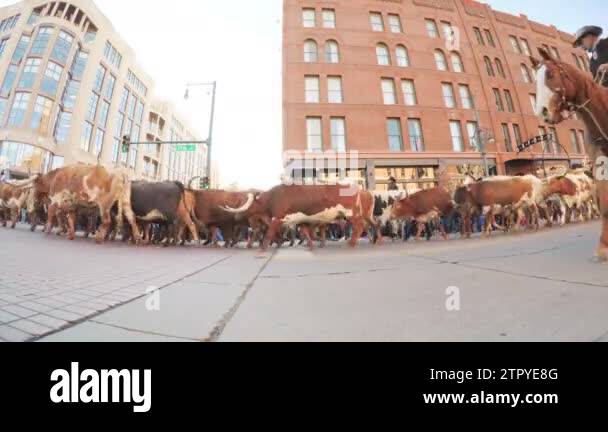 Denver, Colorado, USA-January 4, 2018-POV-The National Western Stock ...
