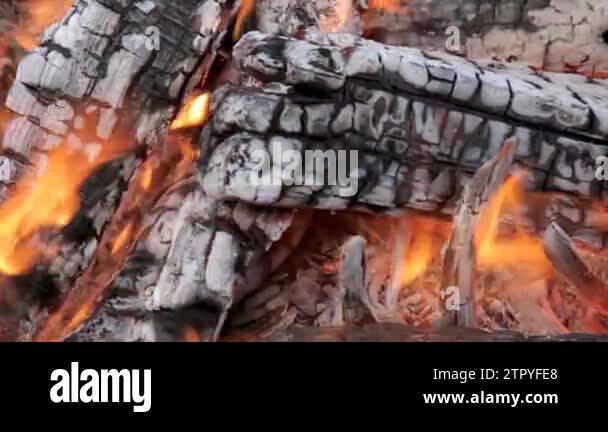 Burning wood log and firewood in a campfire with smoke and flame. Fire ...