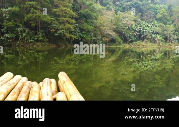 Mountain Coniferous Tropical Forest with Palms is Reflecting in Calm ...