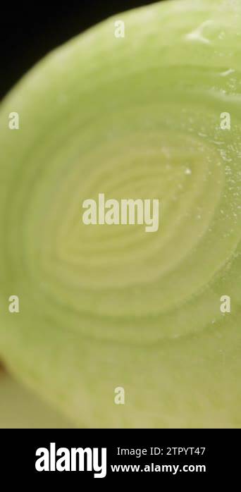 Vertical video. A cross-section of a leek, showing its layers. Macro ...