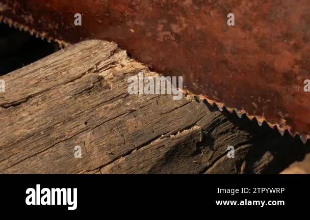 Rusty saw sharp teeth metal Stock Videos & Footage - HD and 4K Video ...