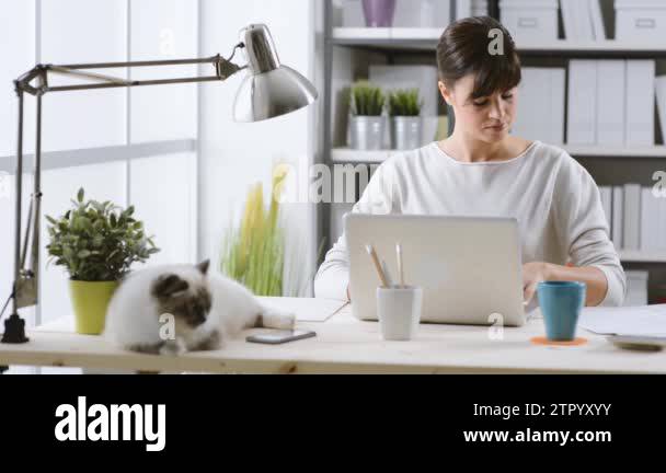 Happy cat owner working home Stock Videos & Footage - HD and 4K Video ...