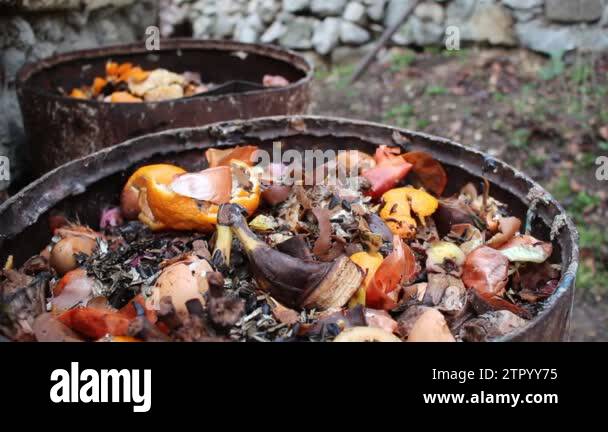 Organic decomposition Stock Videos & Footage - HD and 4K Video Clips - Alamy