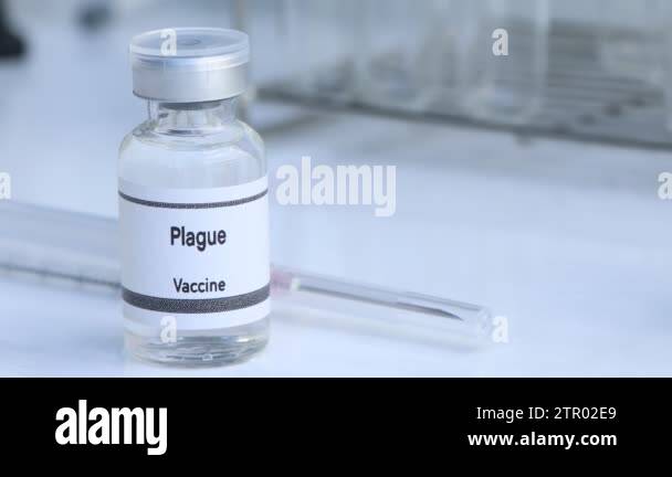 Plague vaccine in a vial, immunization and treatment of infection ...