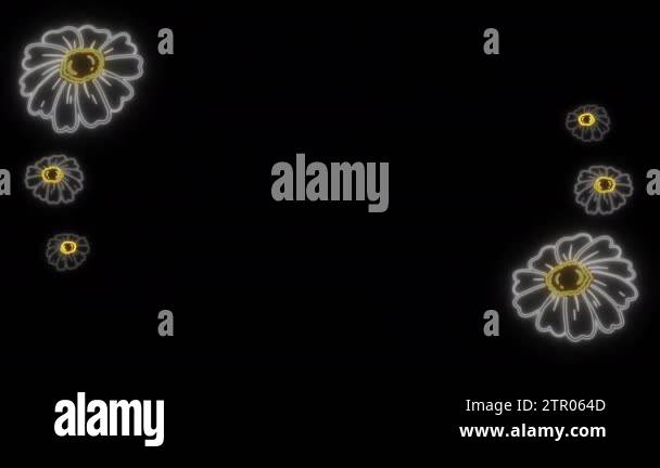 4k Glowing Neon Led Light Daisy Flowers Frame Template. Creative Motion Graphic Design Element ...
