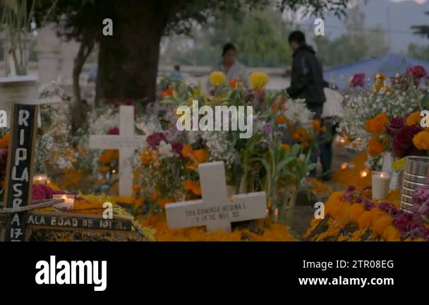 Day markers Stock Videos & Footage - HD and 4K Video Clips - Alamy