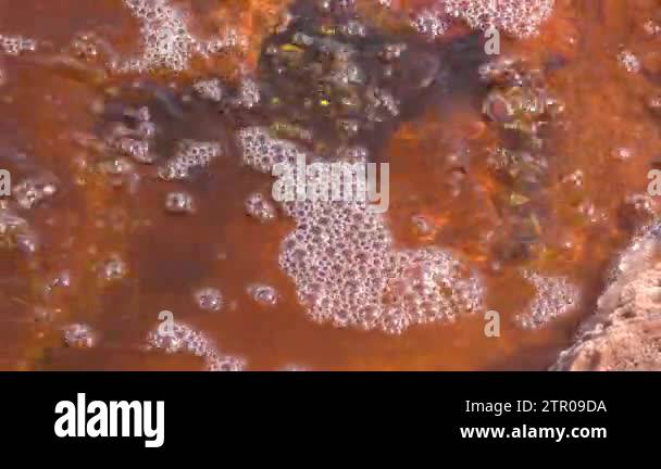 Dallol Sulfur springs and pools. The Sulphur springs create the ...