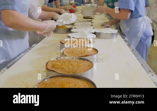 Cakes production factory. Hands cooking, preparing cakes on a conveyor ...