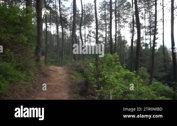Shady hiking trail Stock Videos & Footage - HD and 4K Video Clips - Alamy
