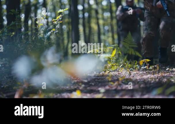 A military squad moves tactically through a forest, rifles in hand, as ...