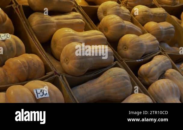 Ripe butternut squash in Stock Videos & Footage - HD and 4K Video Clips ...