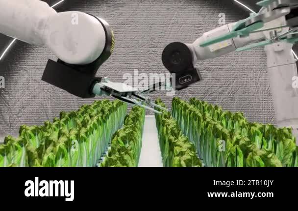 Modern plantation with robotic arms. Organic Farmhouse with process ...