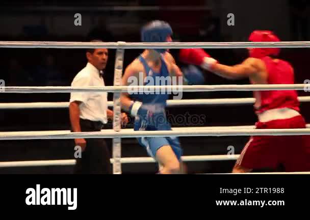 Boxing referee Stock Videos & Footage - HD and 4K Video Clips - Alamy