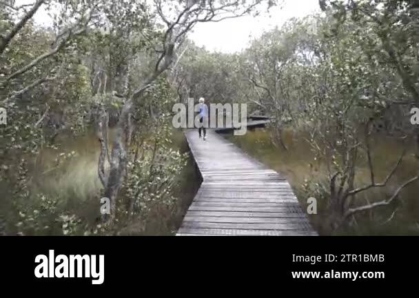 Bridge hatea river whangarei Stock Videos & Footage - HD and 4K Video ...