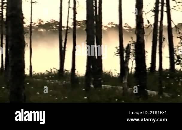 Retro VHS footage, Scan from vintage VHS-C Betacam. Retro camera 8 mm ...