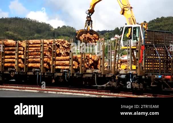 Loading timber for export Stock Videos & Footage - HD and 4K Video ...