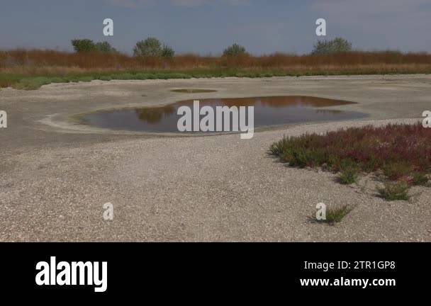 Puddles that left on the bottom of the drying up of salty estuary Stock ...