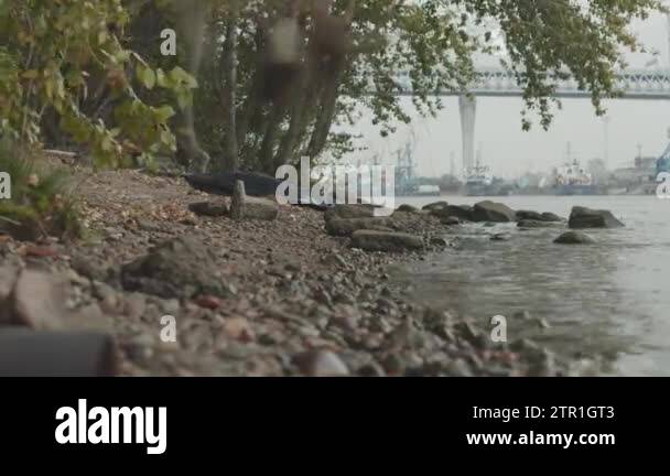 No people wide shot of dead body in black plastic bag lying on stone ...
