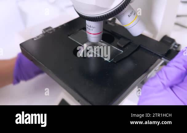 Female research scientist looking at samples under microscope. 4K ...