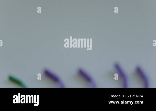 Birds with rings Stock Videos & Footage - HD and 4K Video Clips - Alamy