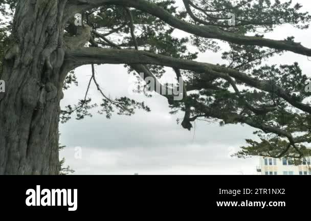 Frisco addition Stock Videos & Footage - HD and 4K Video Clips - Alamy