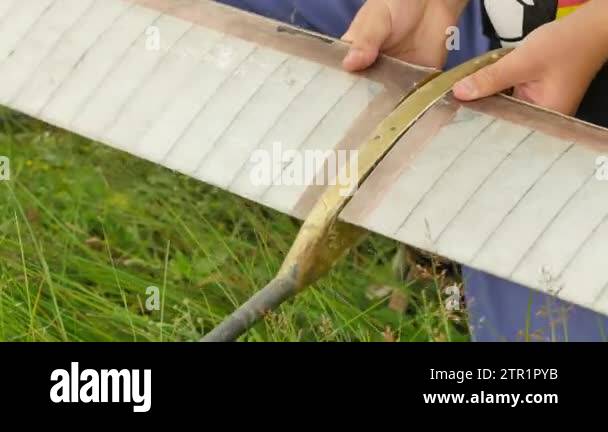 Flight wing model Stock Videos & Footage - HD and 4K Video Clips - Alamy