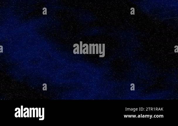 Dolphin man face to face Stock Videos & Footage - HD and 4K Video Clips ...