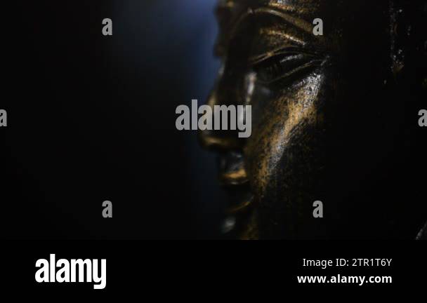 Black bust detail Stock Videos & Footage - HD and 4K Video Clips - Alamy