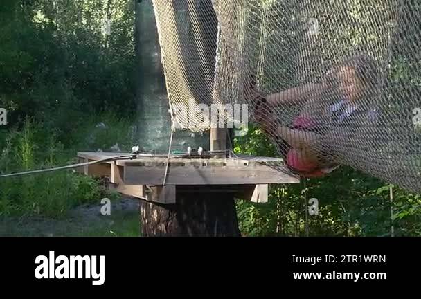 Tangled net person Stock Videos & Footage - HD and 4K Video Clips - Alamy