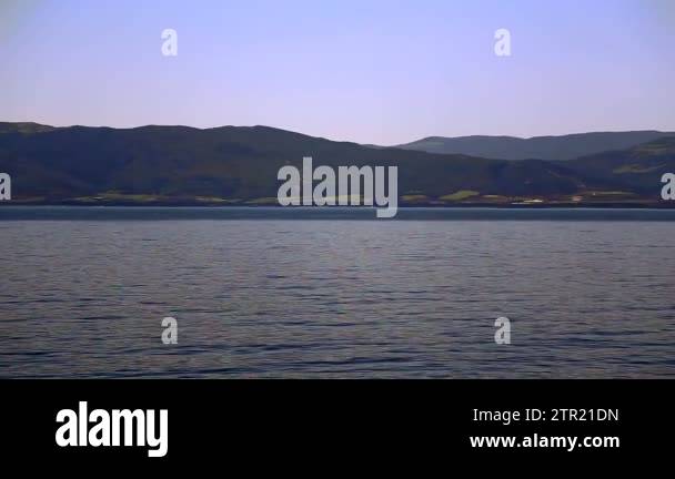 Lake gras Stock Videos & Footage - HD and 4K Video Clips - Alamy