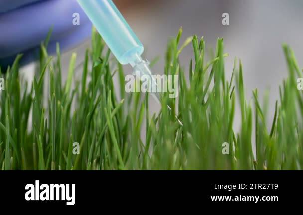 Photosynthesis experiment syringe Stock Videos & Footage - HD and 4K ...