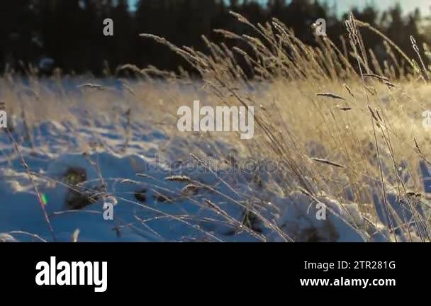 Temperature spikes Stock Videos & Footage - HD and 4K Video Clips - Alamy