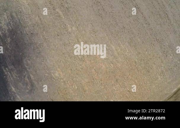 Ground flying Stock Videos & Footage - HD and 4K Video Clips - Alamy