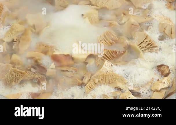 Cooked plants Stock Videos & Footage - HD and 4K Video Clips - Alamy