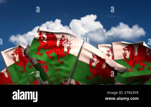 Waving welsh flags Stock Videos & Footage - HD and 4K Video Clips - Alamy