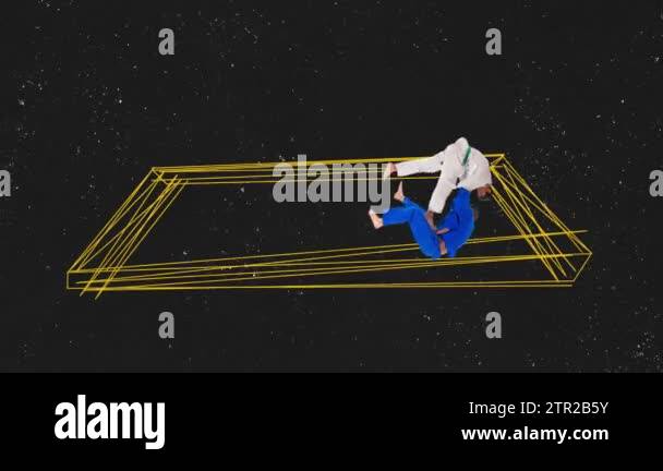 Stop motion. Animation. Two men, professional karateka training karate ...