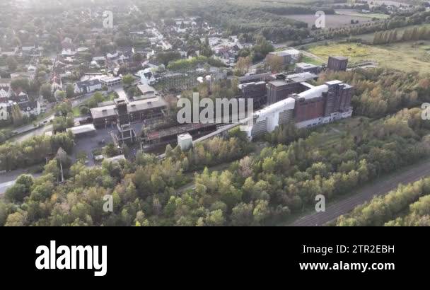 Hansa plant Stock Videos & Footage - HD and 4K Video Clips - Alamy
