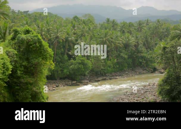 Jungle river in indonesia Stock Videos & Footage - HD and 4K Video ...