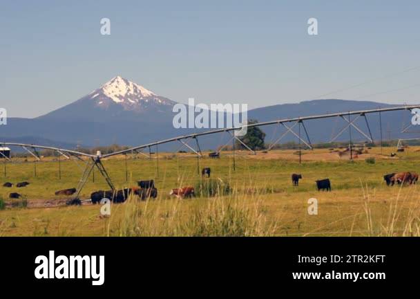 Southwestern american farm ranch Stock Videos & Footage - HD and 4K ...