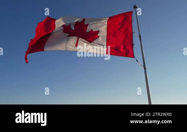 National Flag of Canada. Canadian flag slow motion at mast at Toronto ...