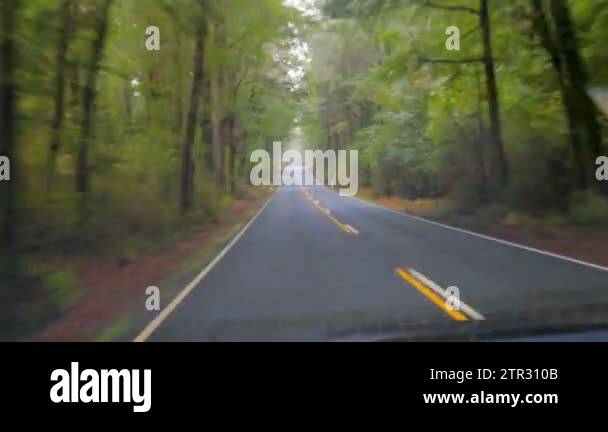 Milford road new zealand Stock Videos & Footage - HD and 4K Video Clips ...