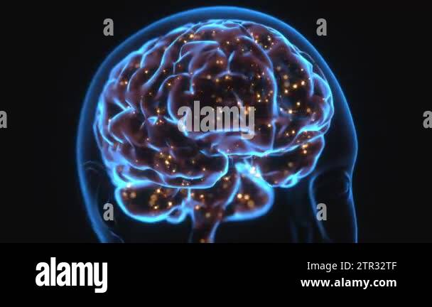 X-ray of the head and human brain in concept of neural connections and ...