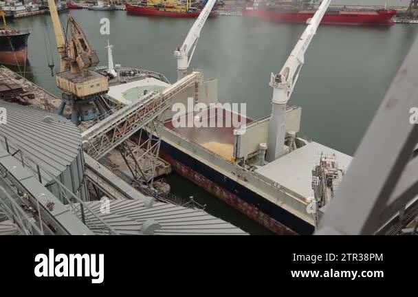Panorama of ship loading grain crops on bulk freighter via trunk to ...