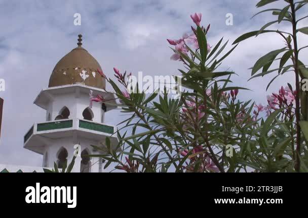 Frankincense route Stock Videos & Footage - HD and 4K Video Clips - Alamy