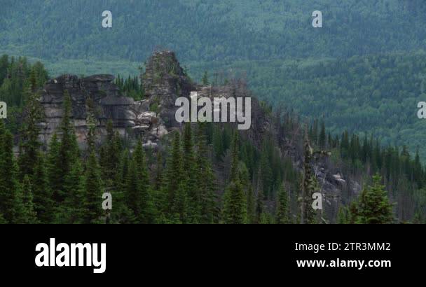 Remnant forest Stock Videos & Footage - HD and 4K Video Clips - Alamy