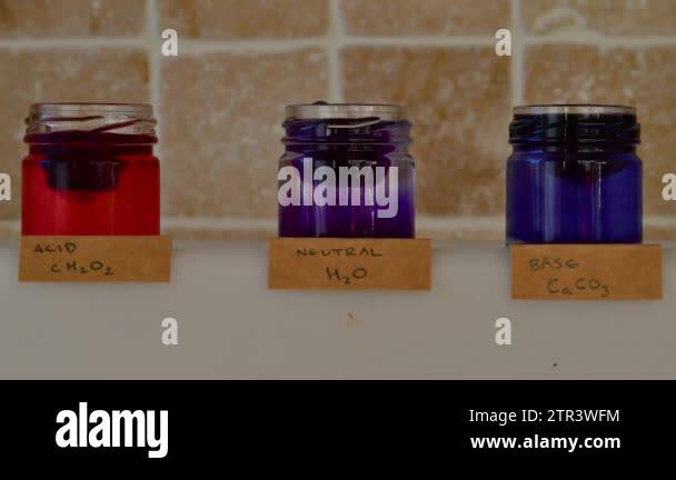 Red cabbage ph indicator solution Stock Videos & Footage - HD and 4K ...