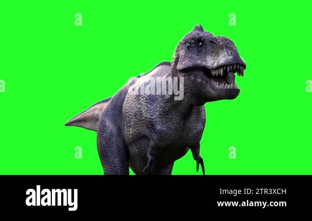 animate a running dinosaur Tyrannosaurus Rex 3d render on green ...