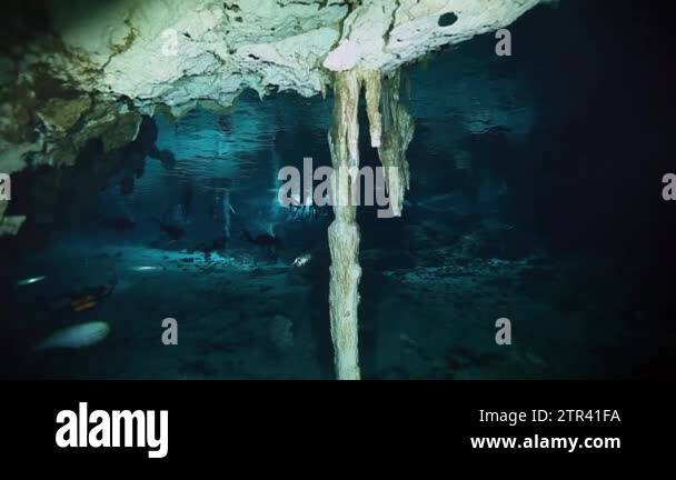 Underwater landscape in Yucatan Mexican cenote Stock Video Footage - Alamy