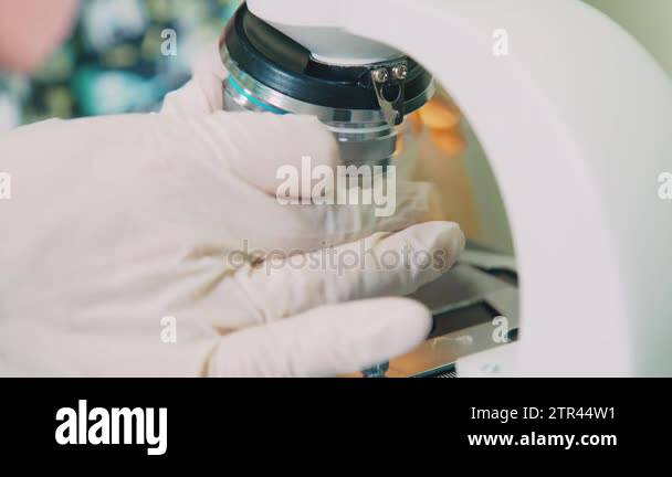 Microscope glass slide Stock Videos & Footage - HD and 4K Video Clips ...